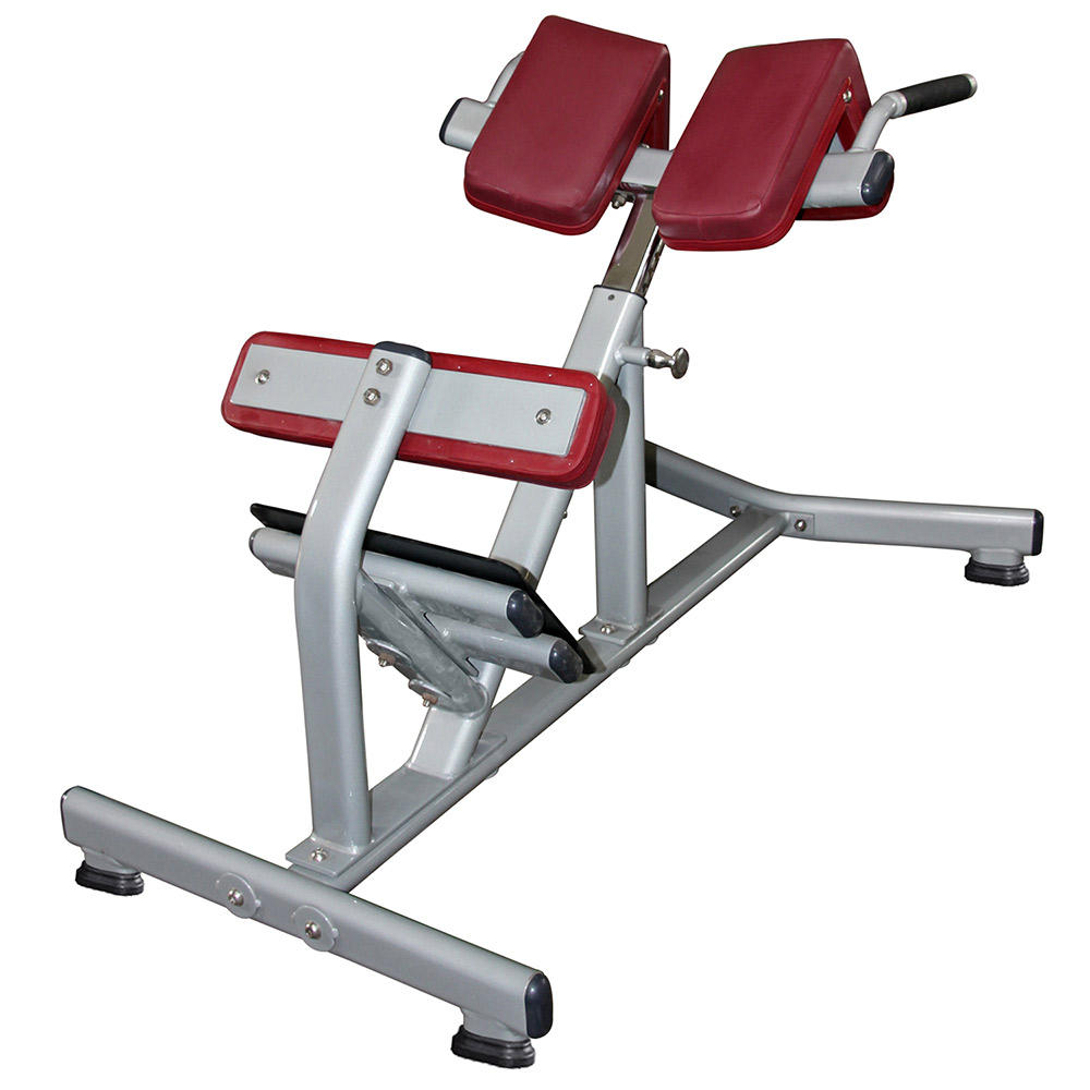 FW-1006 Hyperextension - Buy back hyperextension machine, superman back ...